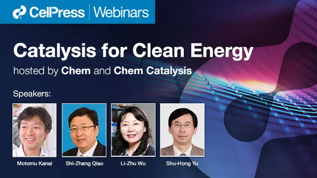 Catalysis for Clean Energy | Researcher Academy
